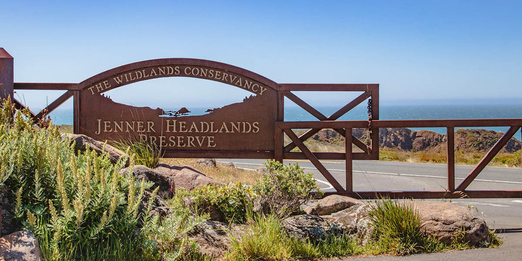Jenner Headlands Preserve: Travel Near and Go Far